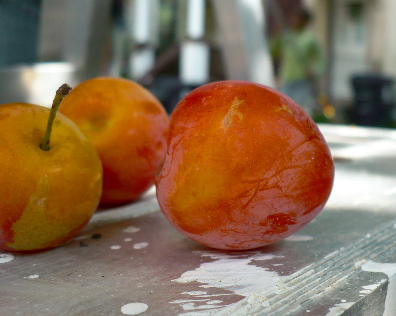 Plums – Not Far From the Tree